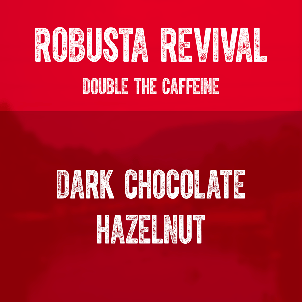 robusta revival
